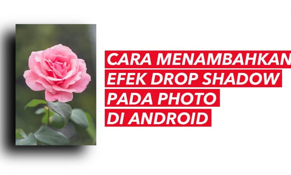 Cara Menambahkan Efek Drop Shadow pada Foto di Android - Inwepo