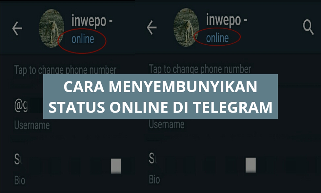 Cara Menyembunyikan Status Online di Telegram - Inwepo
